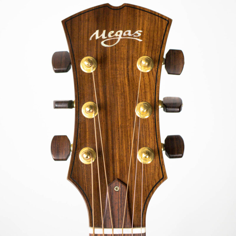 Ted Megas-Megas Custom - The Blue Guitars